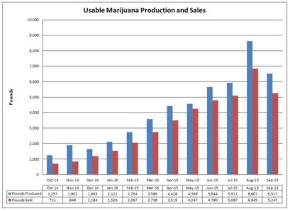 Washington Retail Cannabis Store Count Set to Explode – New Cannabis ...