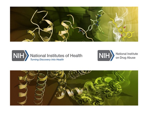 NIH – New Cannabis Ventures