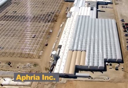 Midas Tours Aphria Ontario Cannabis Greenhouse – New Cannabis Ventures