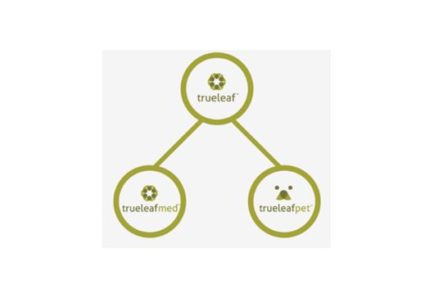 Canadian Cannabis Company True Leaf Reg A+ Offering Raises C$6.18 ...