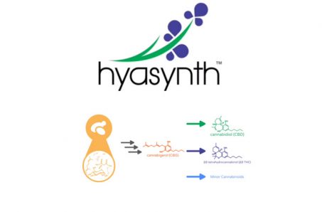 Organigram Finalizes $10 Million Strategic Investment to Develop ...