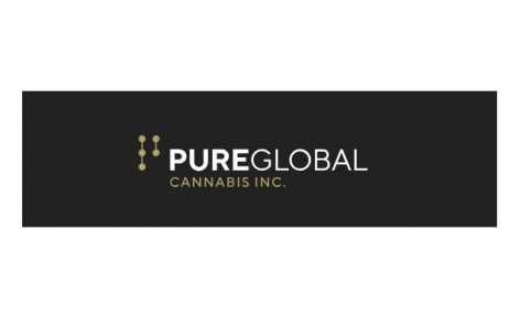 Pure Global Cannabis Raises $10 Million in Convertible Note Offering ...