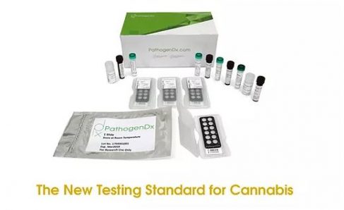 PathogenDx Introduces Novel Microbial Test for Cannabis Industry – New ...
