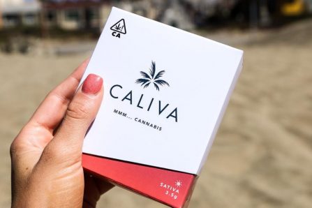 California Cannabis Company Caliva Raises $75 Million – New Cannabis ...