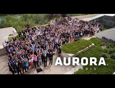 Aurora Cannabis Net Revenue Grows 363% in 2nd Quarter – New Cannabis ...