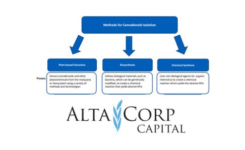 AltaCorp Capital Expects Alternative Cannabinoid Production Processes ...