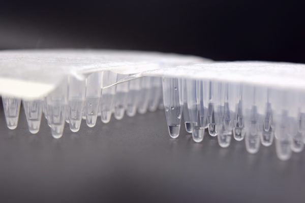 Early Mover Hyasynth Bio Aims to Deliver in the Cannabinoid ...