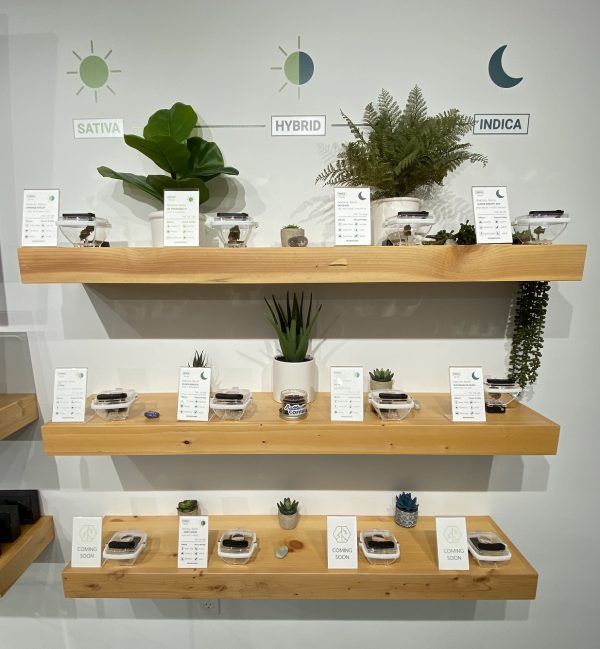 Family-Owned Quality Roots Finds Success in Michigan Cannabis Market ...