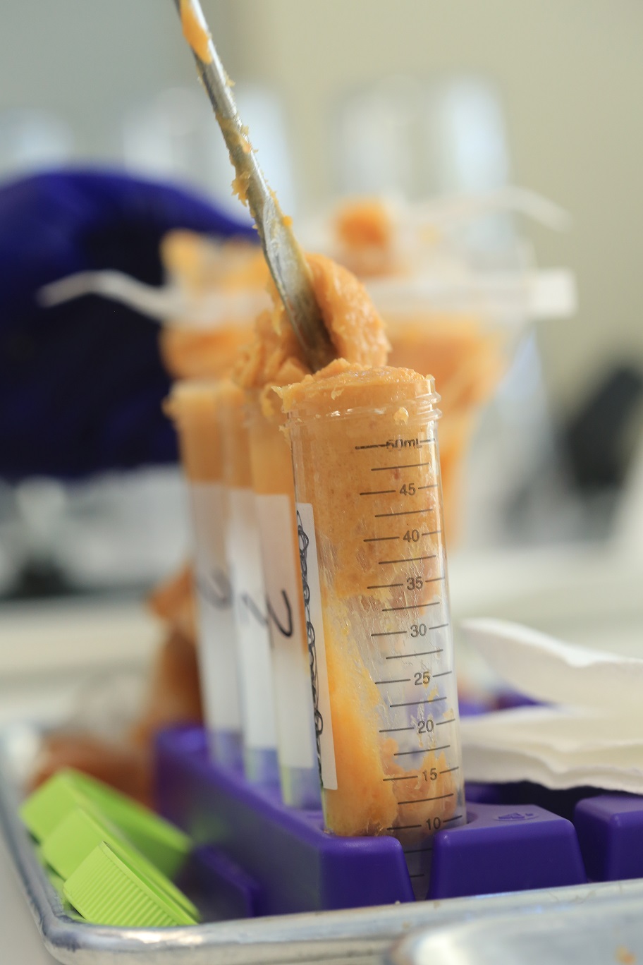 How Cannabis Testing Company SC Labs Builds Collaborative Relationships ...