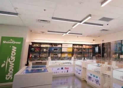 Body and Mind Completes License Transfer for Award Winning ShowGrow ...