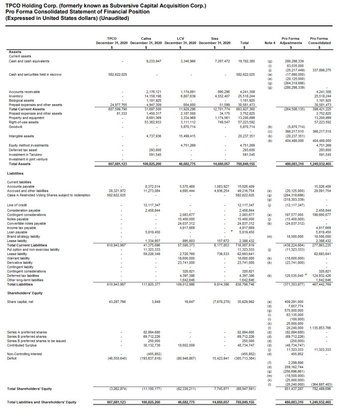 The Parent Company – Company Financials – Balance Sheet – Cash Flow ...