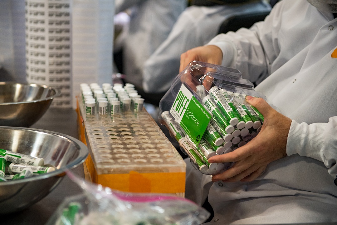 This Cannabis Entrepreneur With 4 Exits Under His Belt Is Now Focused ...