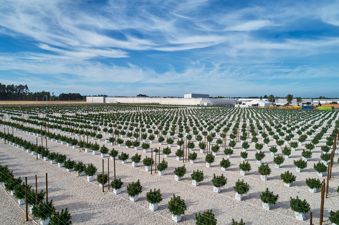 Irwin Simon Maps Out Path to Tilray’s Potential $4 Billion in Revenue ...