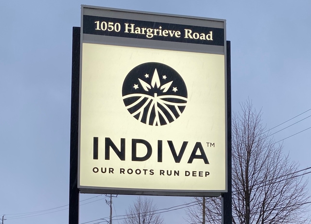 This Focused Cannabis Producer Punches Above Its Weight in the Canadian ...